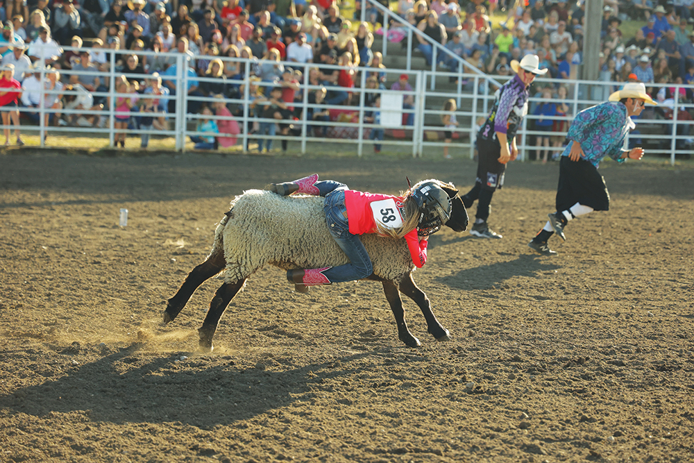 Home on the range | News, Sports, Jobs - Marshall Independent